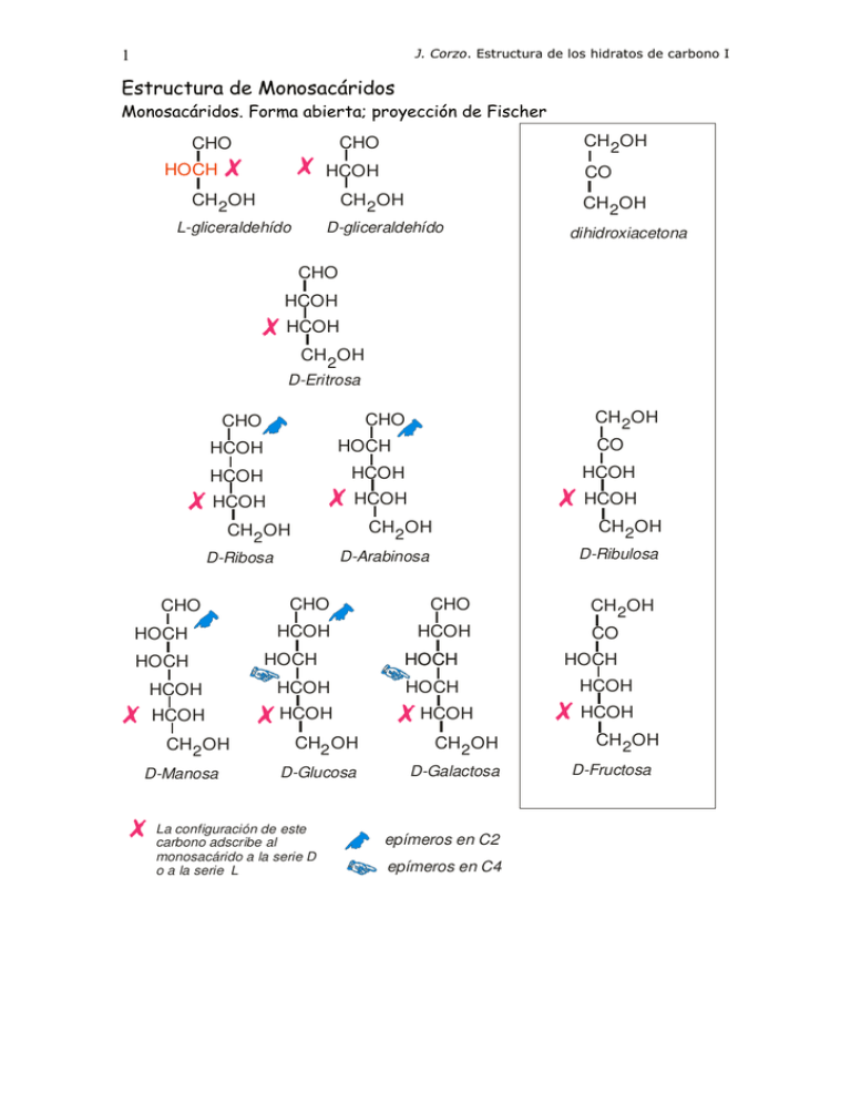Estructura de Monosacáridos