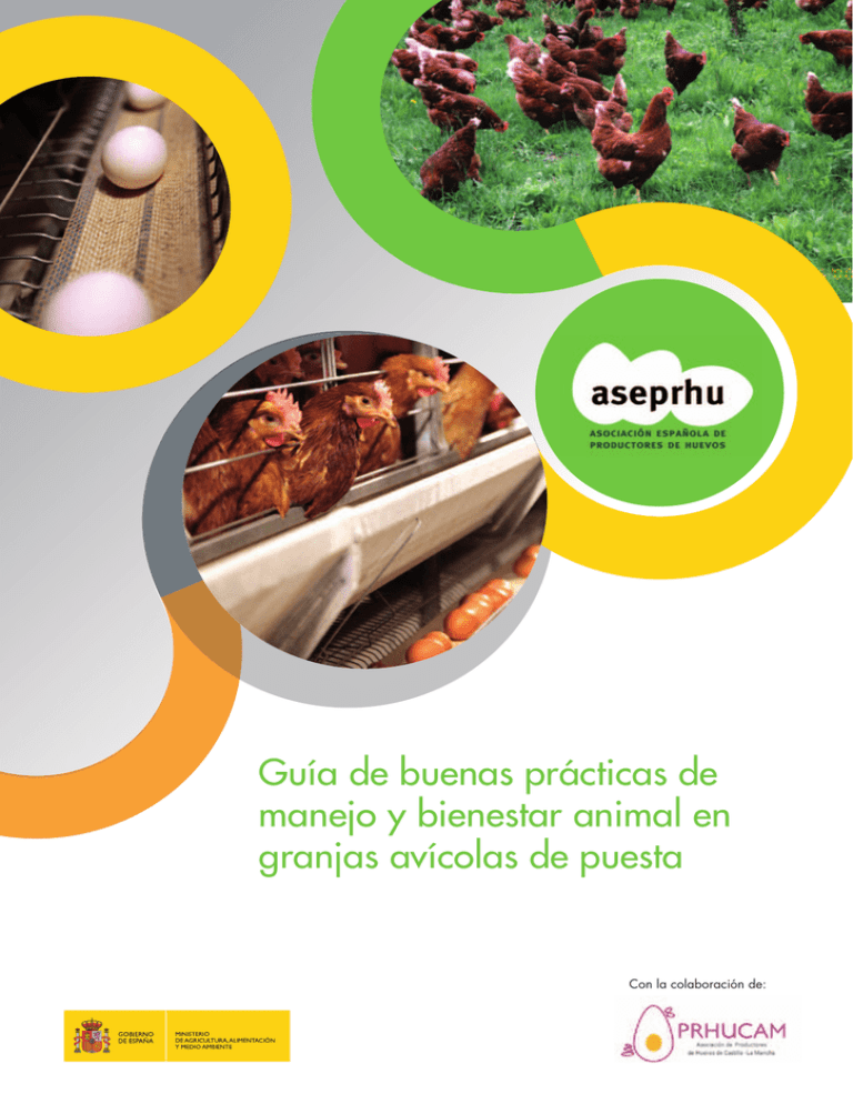 Guía de buenas prácticas de manejo y bienestar animal en granjas