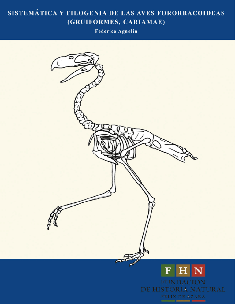 sistemática y filogenia de las aves fororracoideas (gruiformes