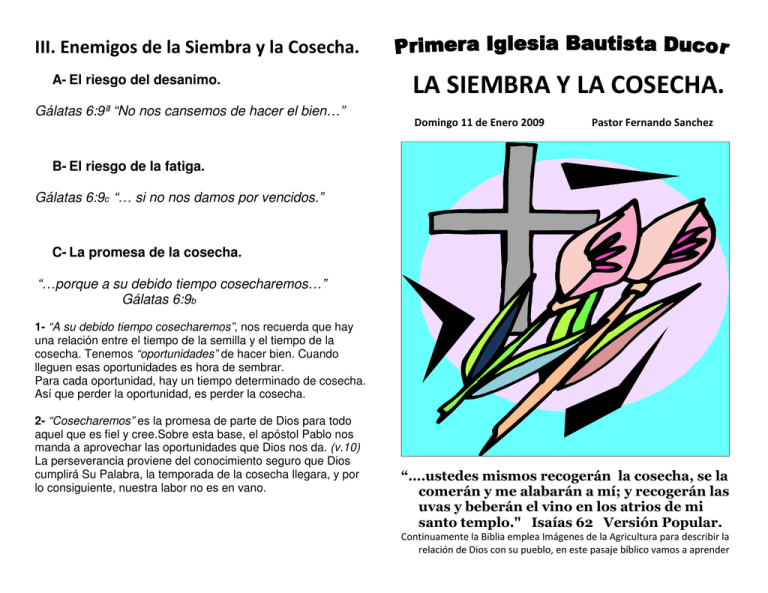 LA SIEMBRA Y LA COSECHA.