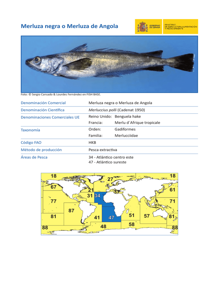 Merluza negra