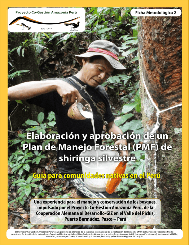 Elaboración y aprobación de un Plan de Manejo Forestal (PMF)