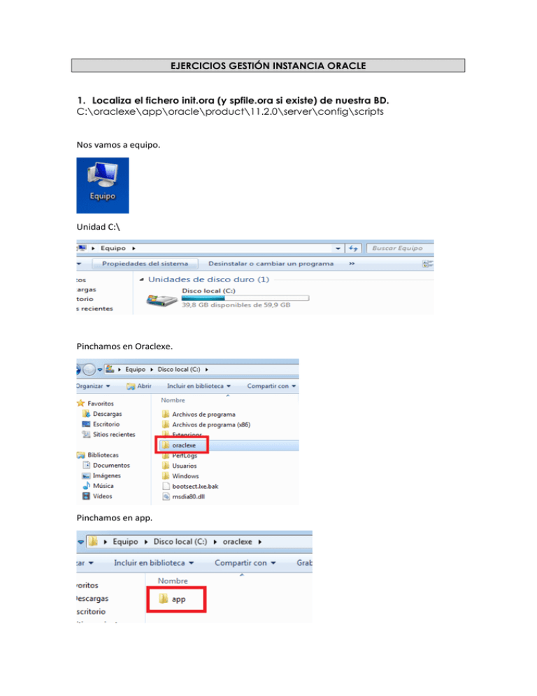 Descargar Ejercicios De Instancia Oracle SQL Developer Descargar Ejercicios De Instancia Oracle SQL Developer