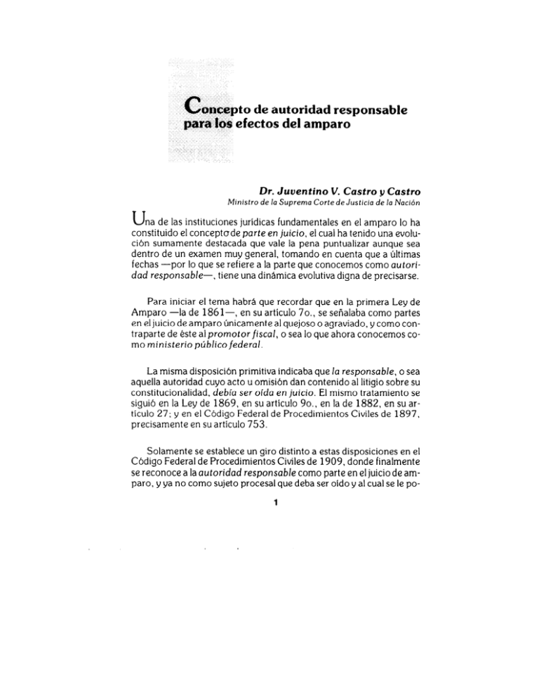 c oncapto de autoridad responsable pzwai: