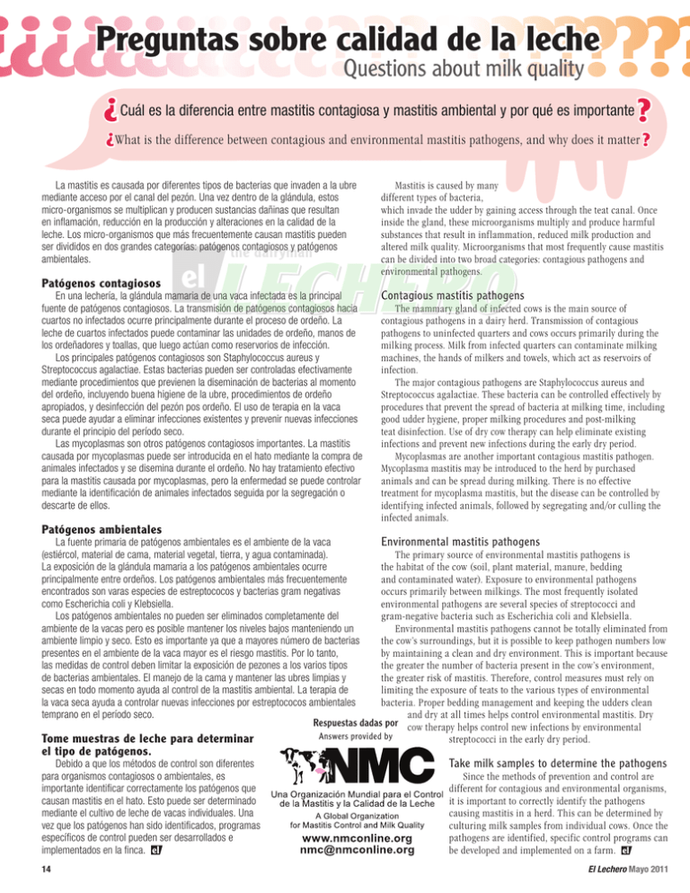 ¿Cuál es la diferencia entre mastitis contagiosa y mastitis ambiental