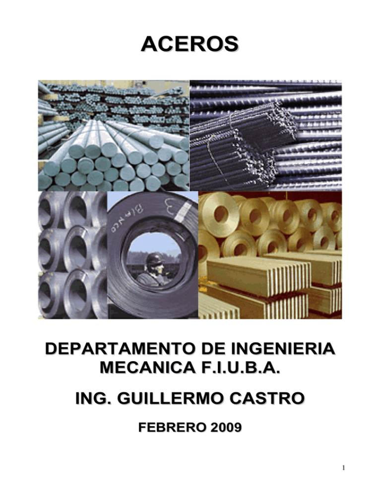 aceros - Campus virtual