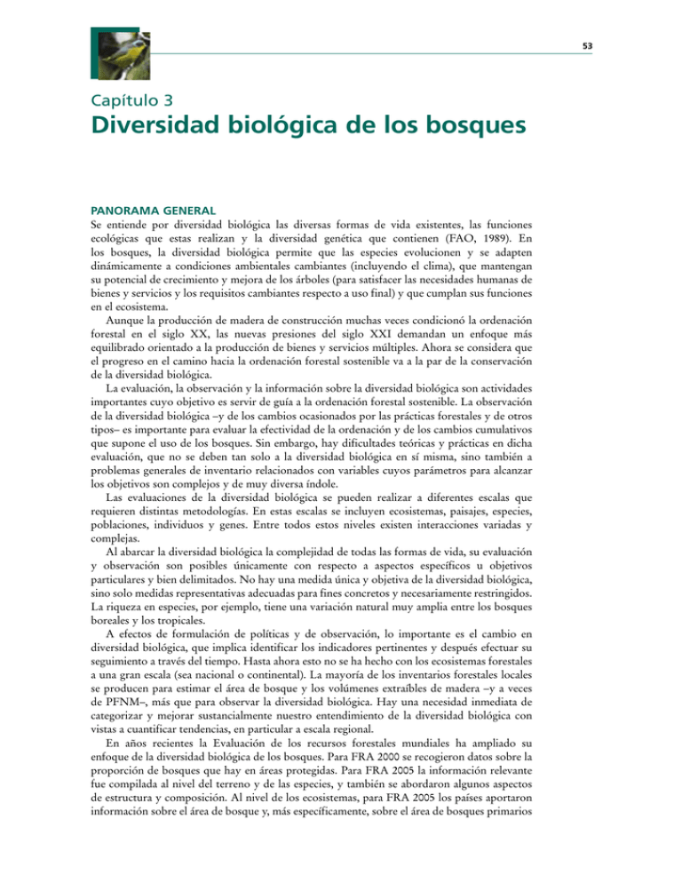 Diversidad biológica de los bosques