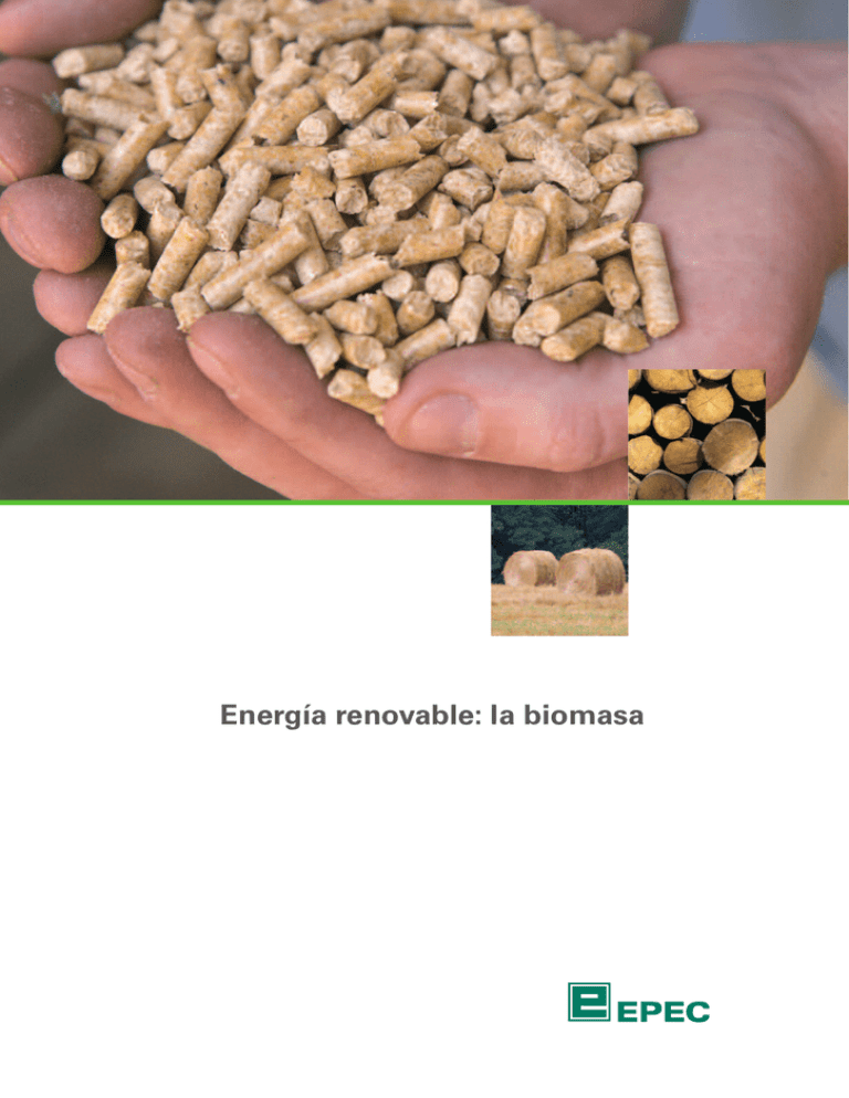 Energía renovable: la biomasa