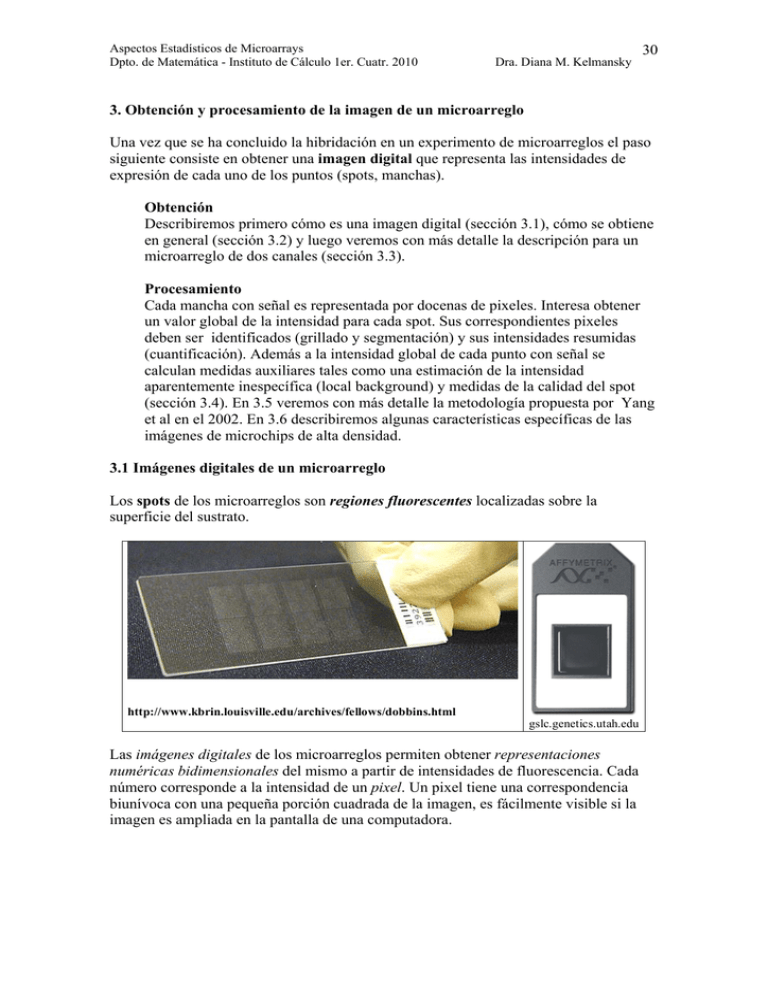 30 3. Obtención y procesamiento de la imagen de un microarreglo