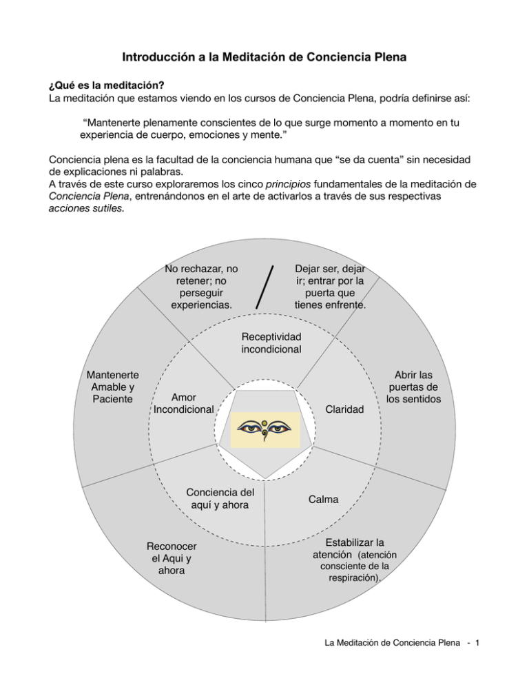 Anonimo La meditacion de conciencia plena