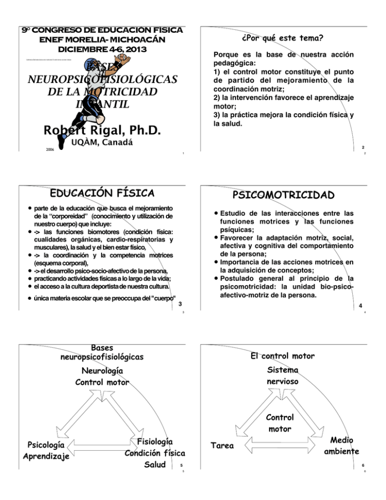 Bases neuropsicofisiológicas de la motricidad infantil