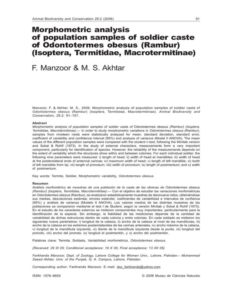 Morphometric analysis of population samples of soldier
