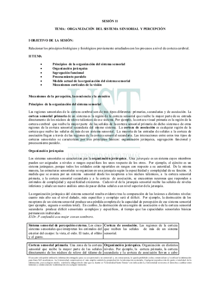 SESIÓN 11 TEMA: ORGANIZACIÓN DEL SISTEMA SENSORIAL Y