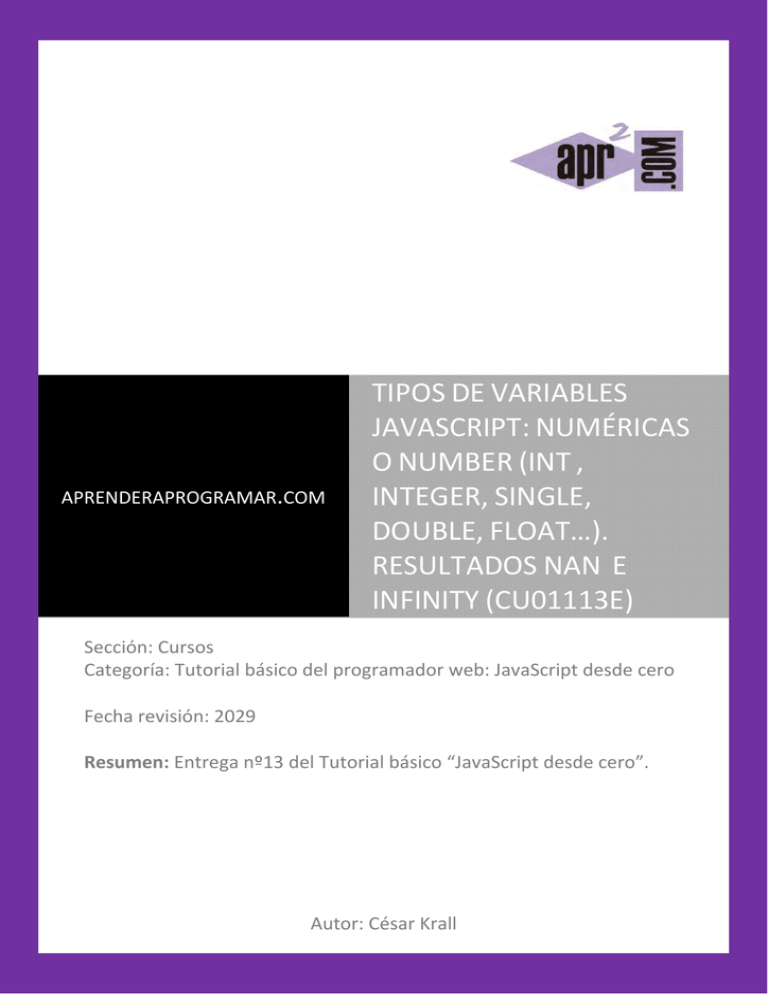 CU01113E tipos variables javascript numericas integer single