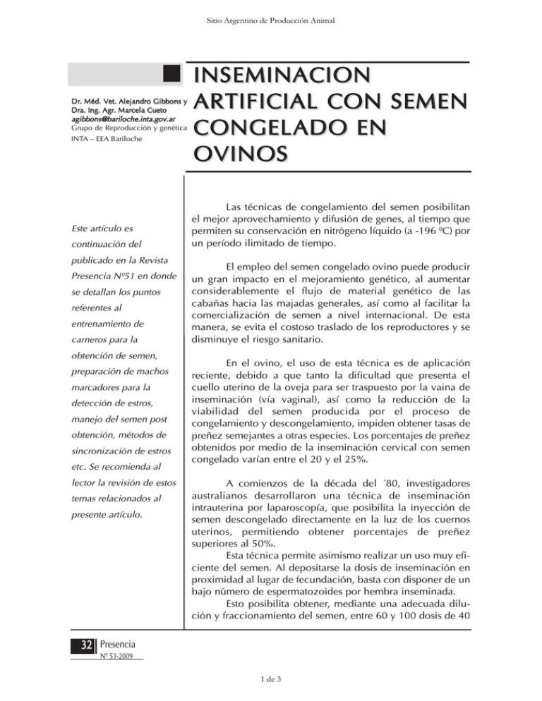 inseminacion artificial con semen congelado en ovinos