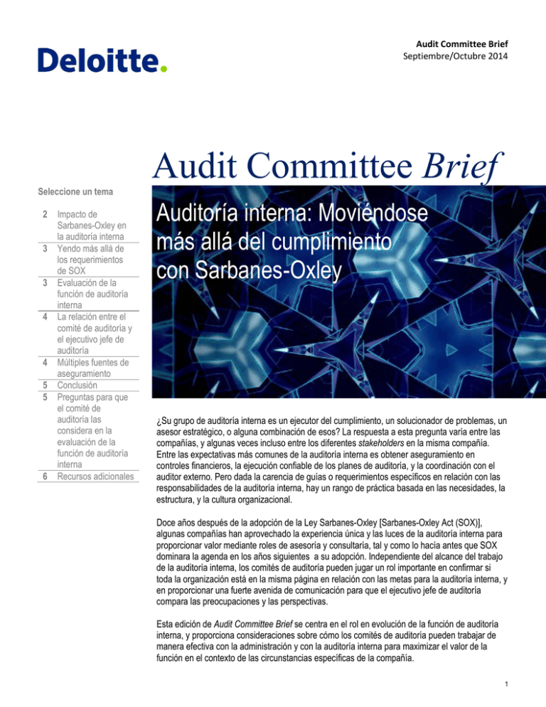 Audit Committee Brief