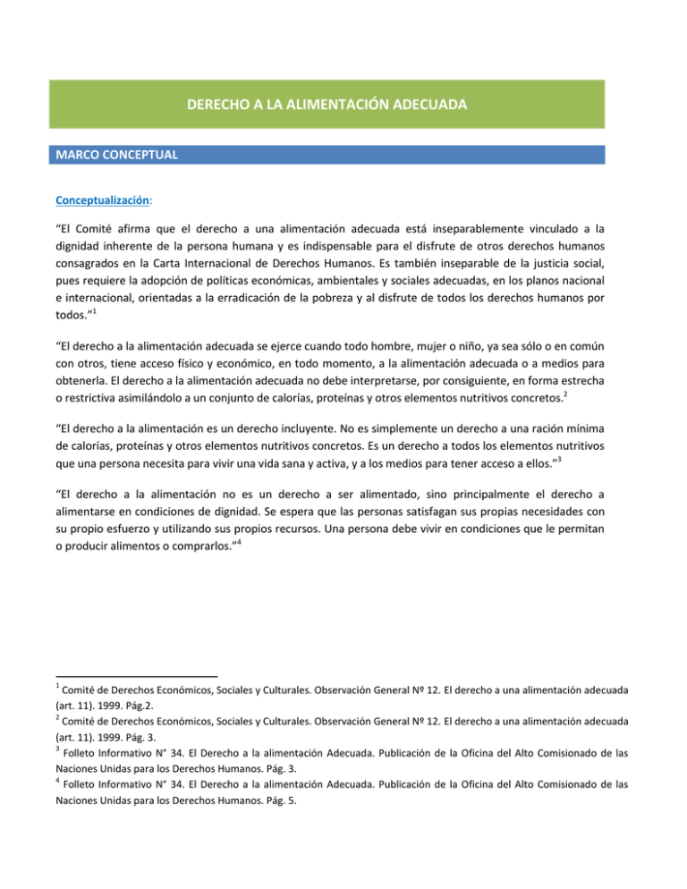 derecho a la alimentación adecuada
