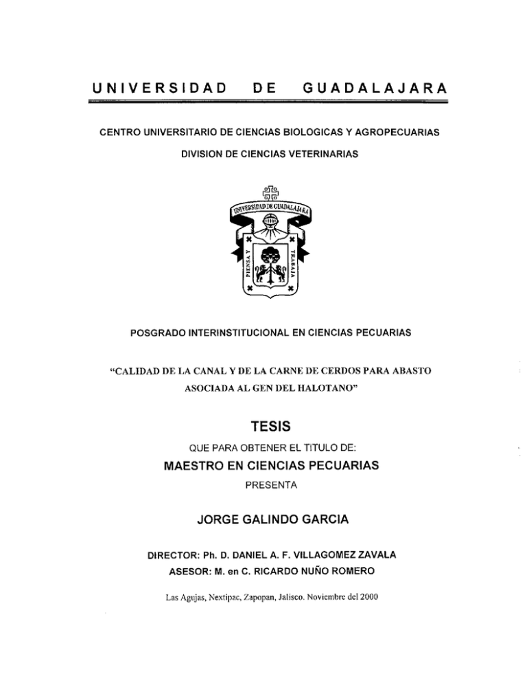 Ver/Abrir - Biblioteca CUCBA UdeG