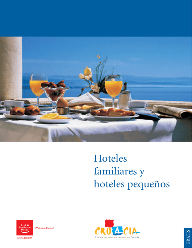 Hoteles familiares y hoteles pequeños - Business