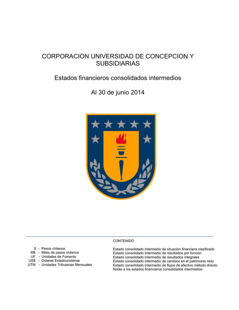 corporacion universidad de concepcion y subsidiarias