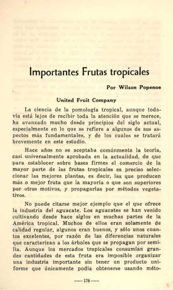 Importantes Frutas tropicales