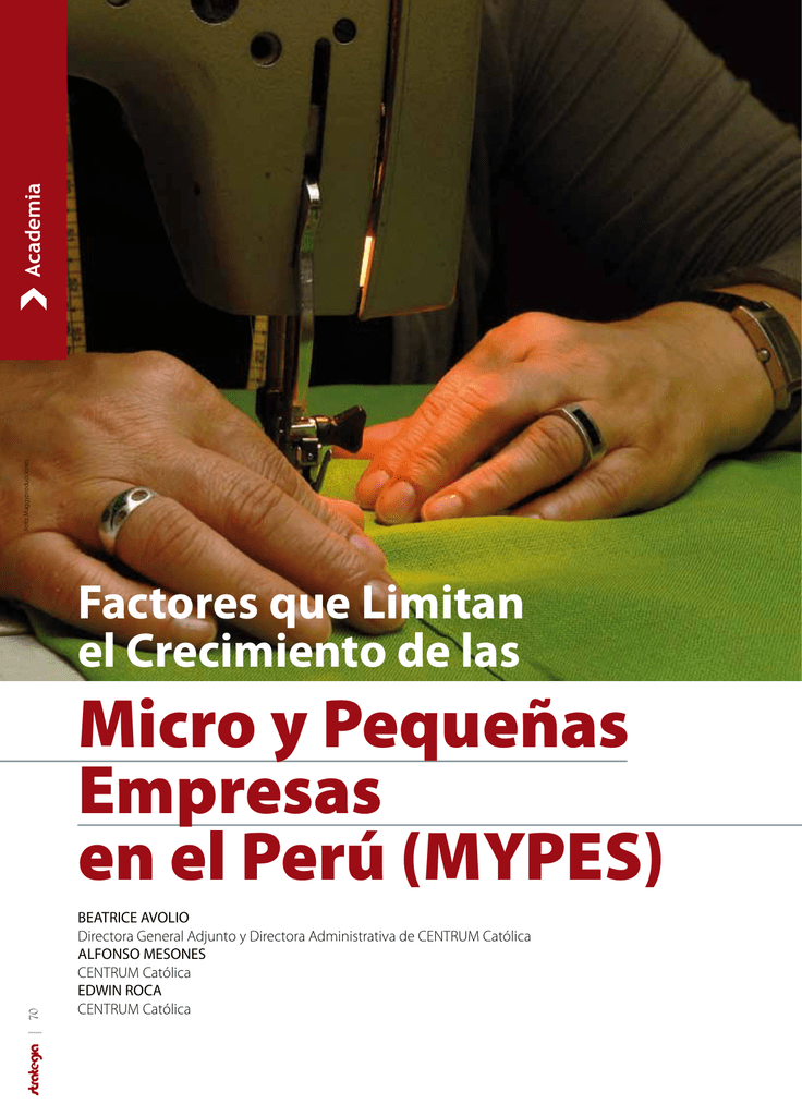 Micro y Pequeñas Empresas en el Perú (MYPES)
