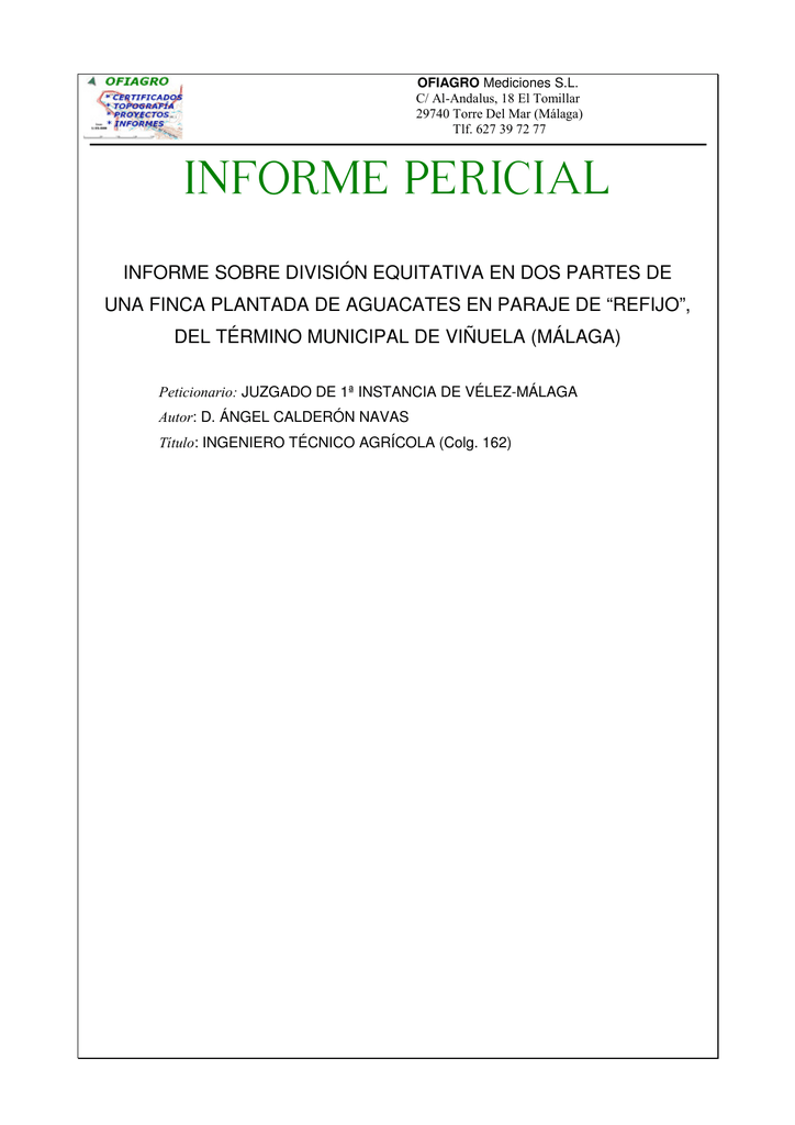 Informe Pericial