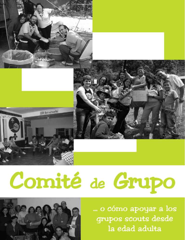 Comité de Grupo