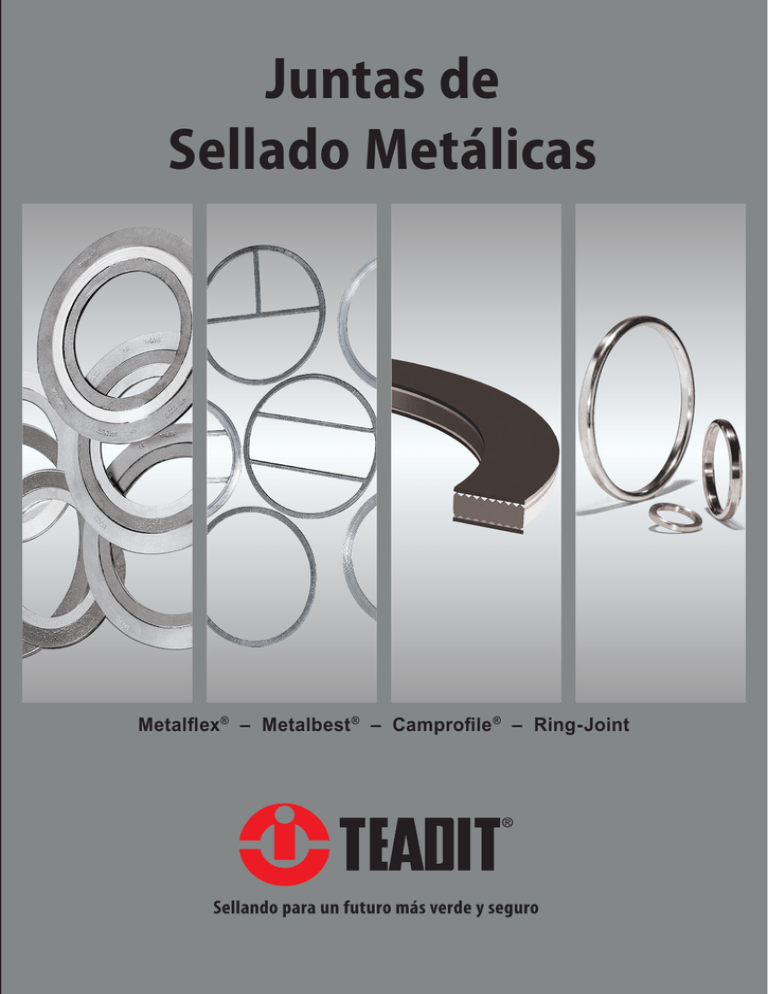 Juntas de Sellado Metálicas