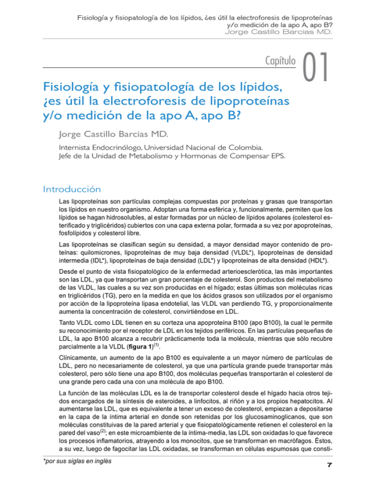 Fisiología y fisiopatología de los lípidos
