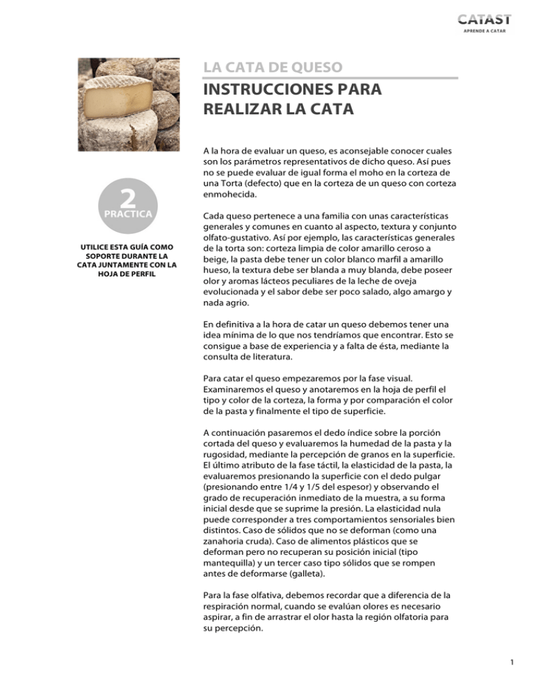 instrucciones para realizar la cata