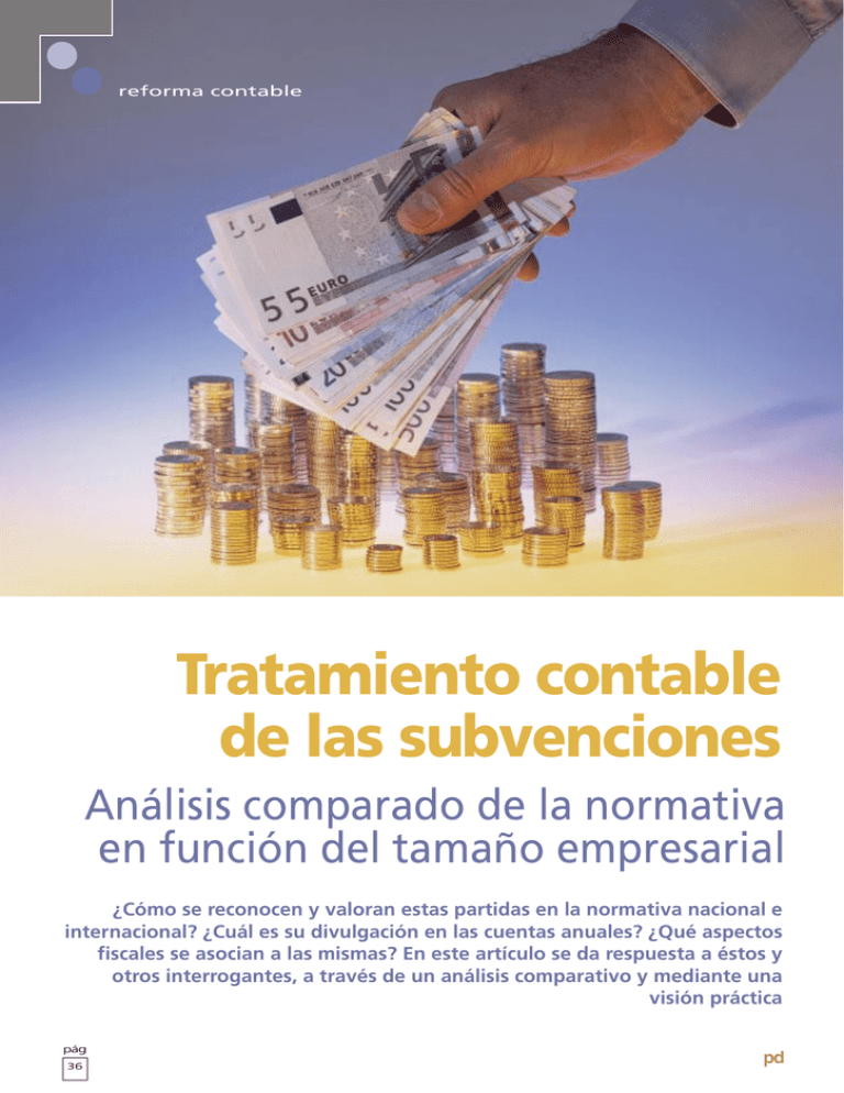 Tratamiento contable de las subvenciones Tratamiento contable de las subvenciones