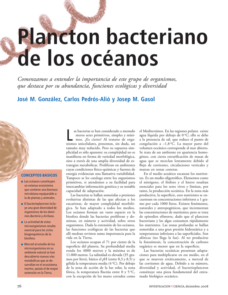 Plancton bacteriano de los océanos - ICM