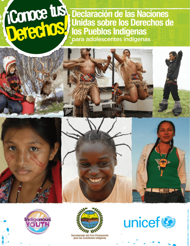 Declaración De Naciones Unidas Sobre Los Derechos De Los Pueblos