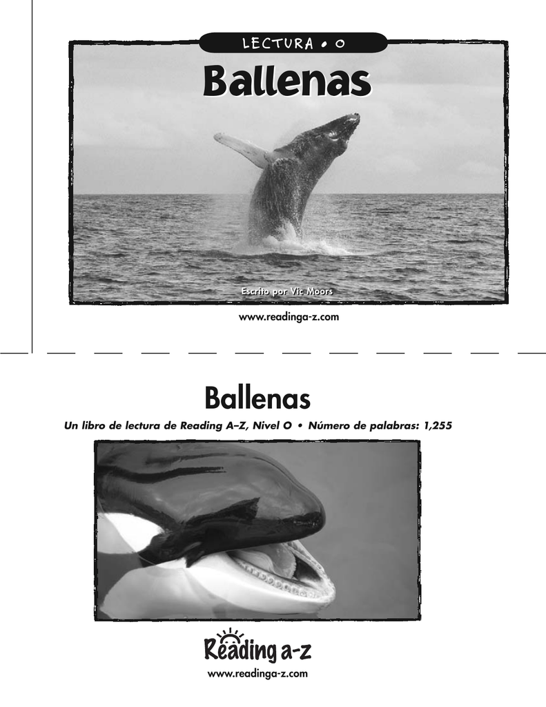 Ballenas