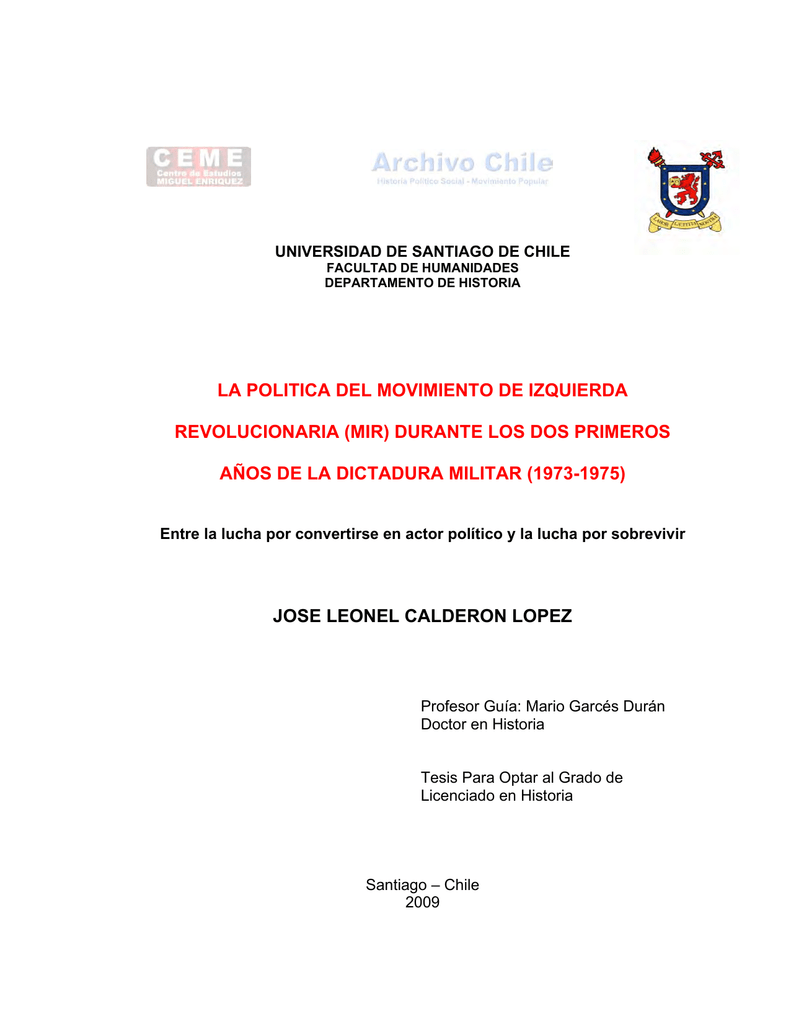 la politica del movimiento de izquierda revolucionaria (mir)