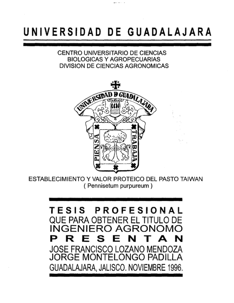 Ver/Abrir - Biblioteca CUCBA UdeG