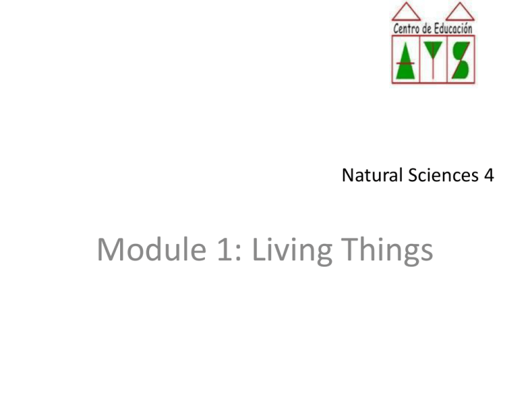 Unit 1: Living things