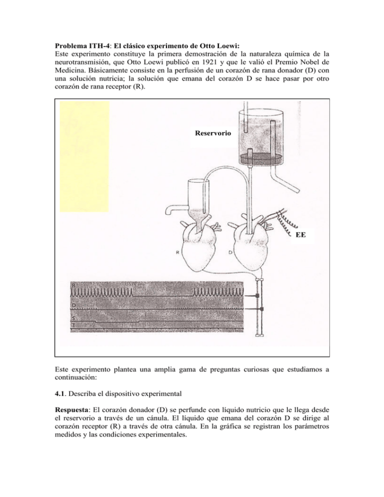 El clásico experimento de Otto Loewi
