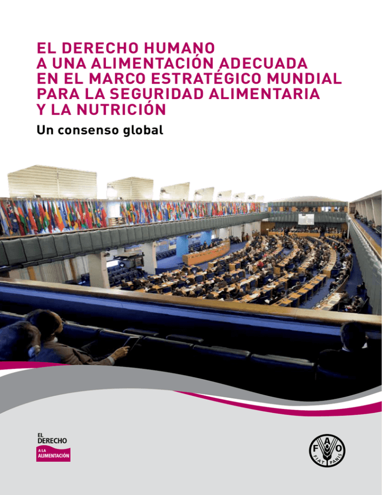 El derecho humano a una alimentación adecuada en el Marco