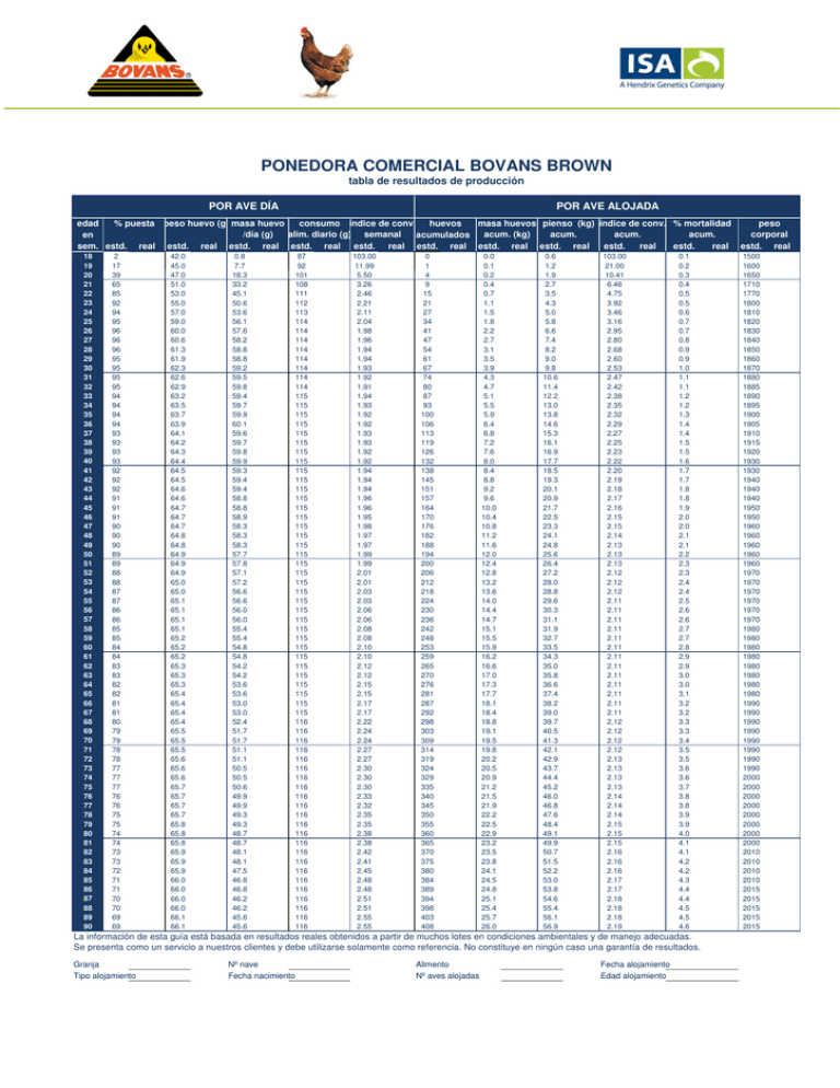 ponedora com ponedora comercial bovans omercial bovans brown