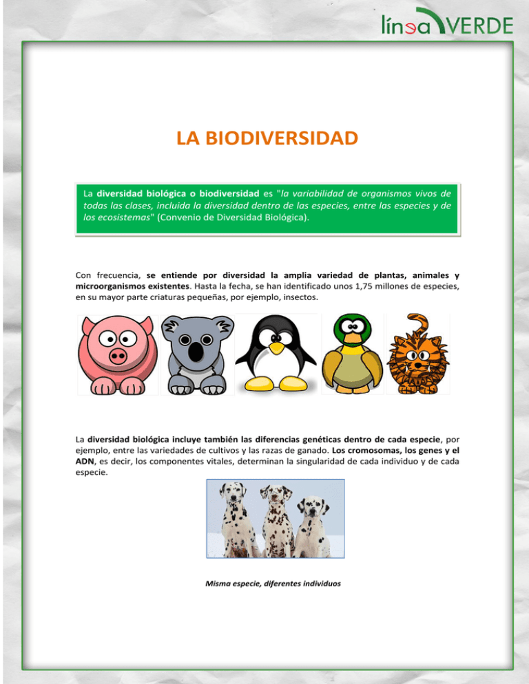 la biodiversidad - Linea Verde Ceuta