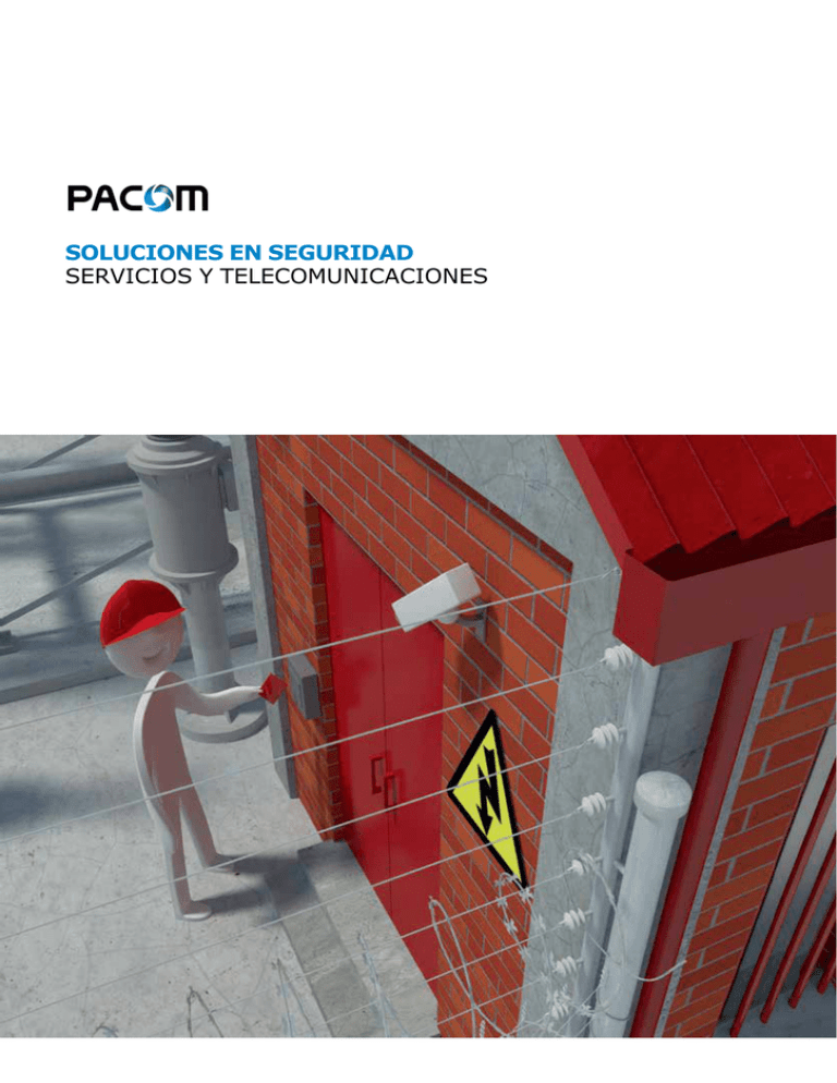 soluciones en seguridad servicios y