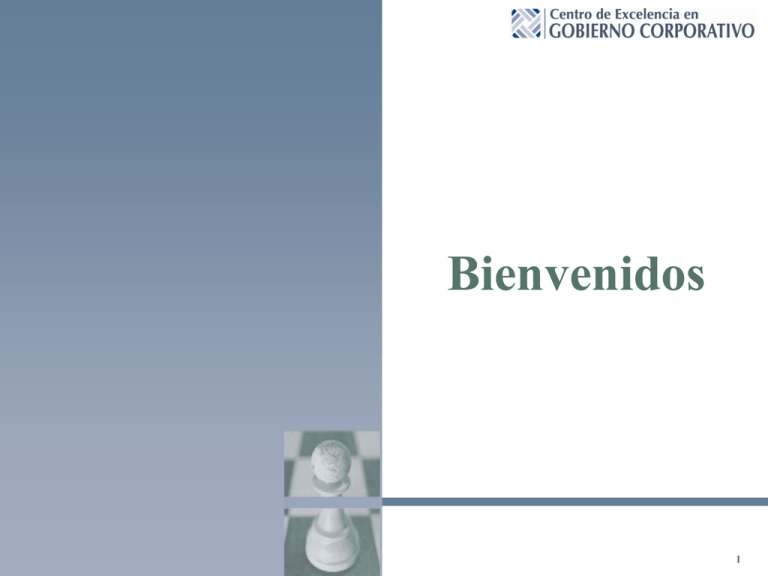 Centro de Excelencia en Gobierno Corporativo (CEGC)