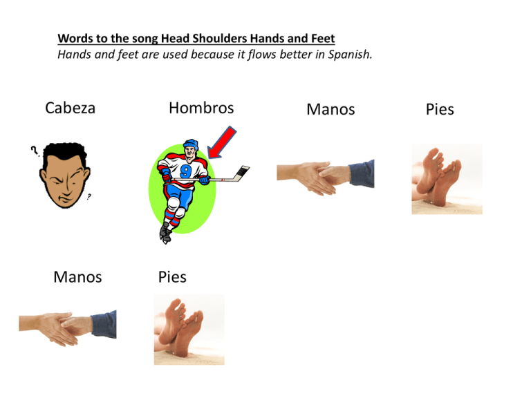Cabeza Hombros Manos Pies Manos Pies