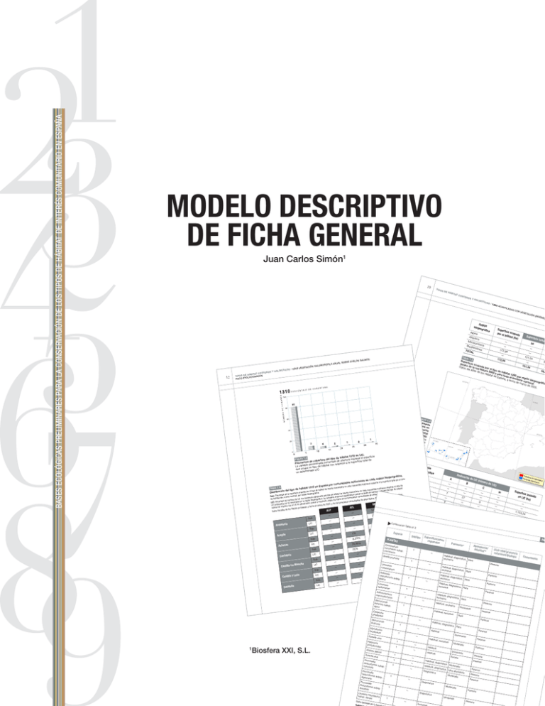 Modelo descriptivo de ficha general