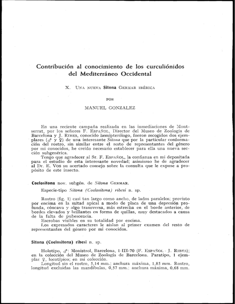 Contribución al conocimiento de los curculiónidos del