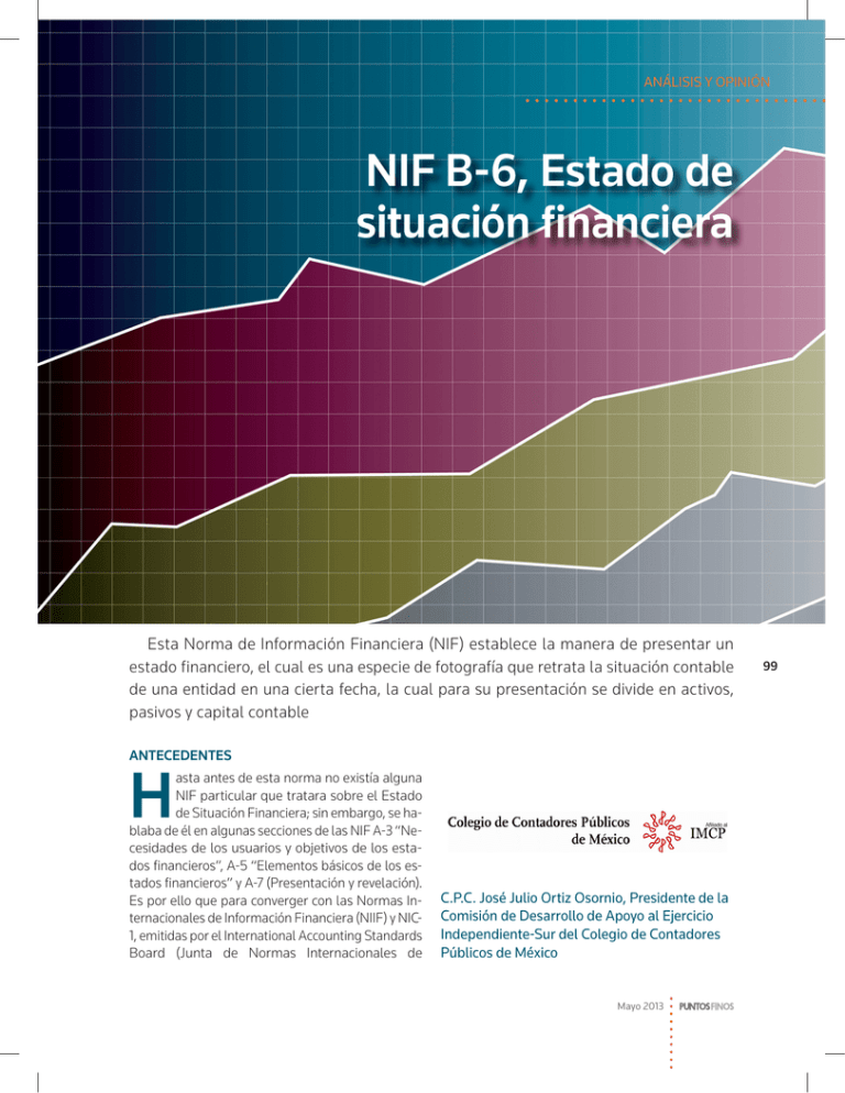 NIF B-6: Análisis del Estado de Situación Financiera