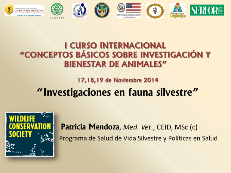 Investigación con animales silvestres