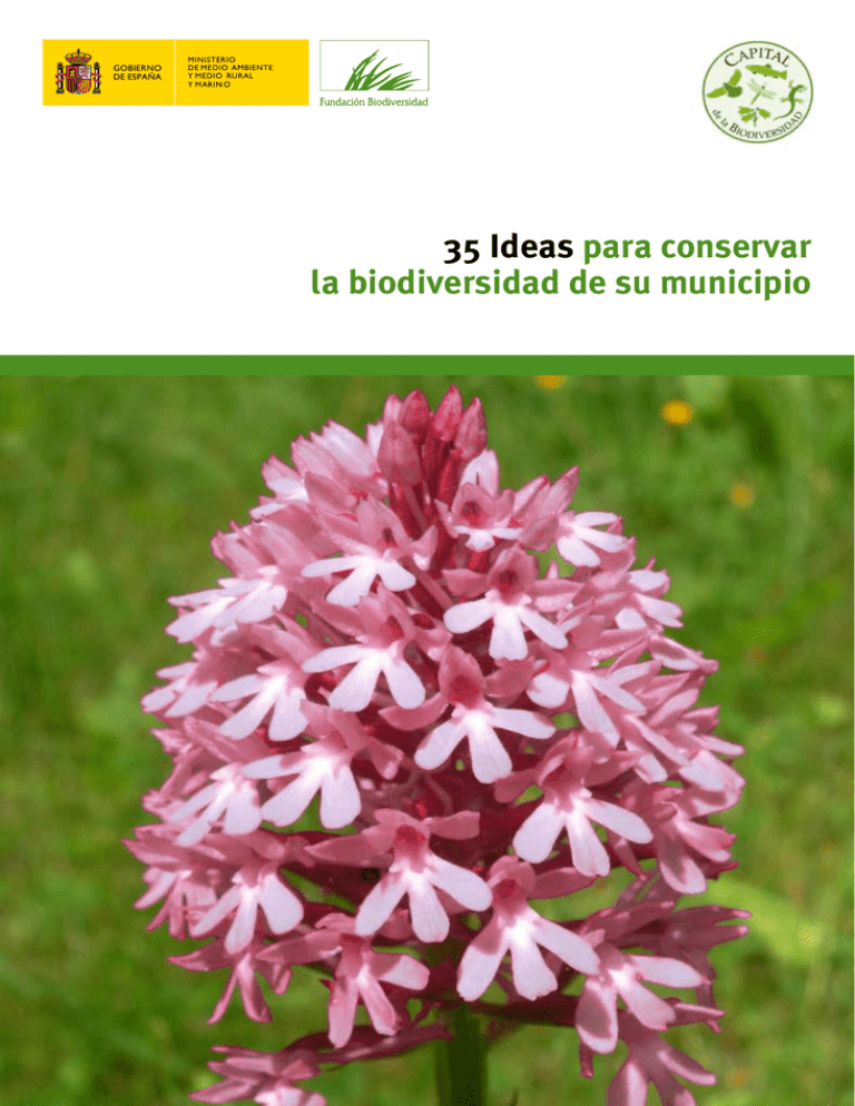 35 Ideas Para Conservar La Biodiversidad De Su